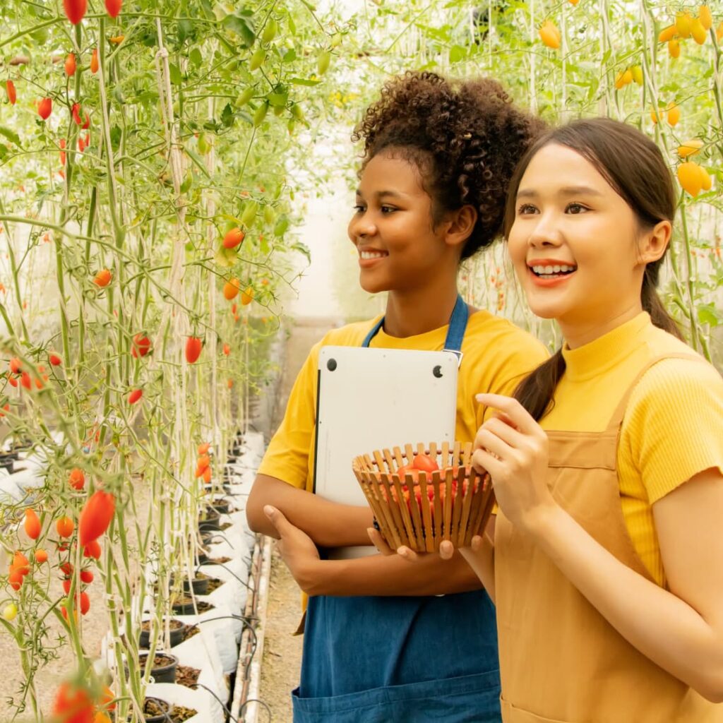 Agribusiness Career Pathway - K12