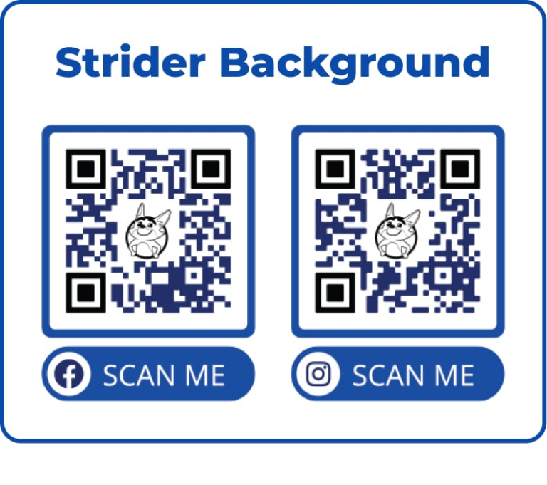 Welcome to the Strider Activity Hub - K12